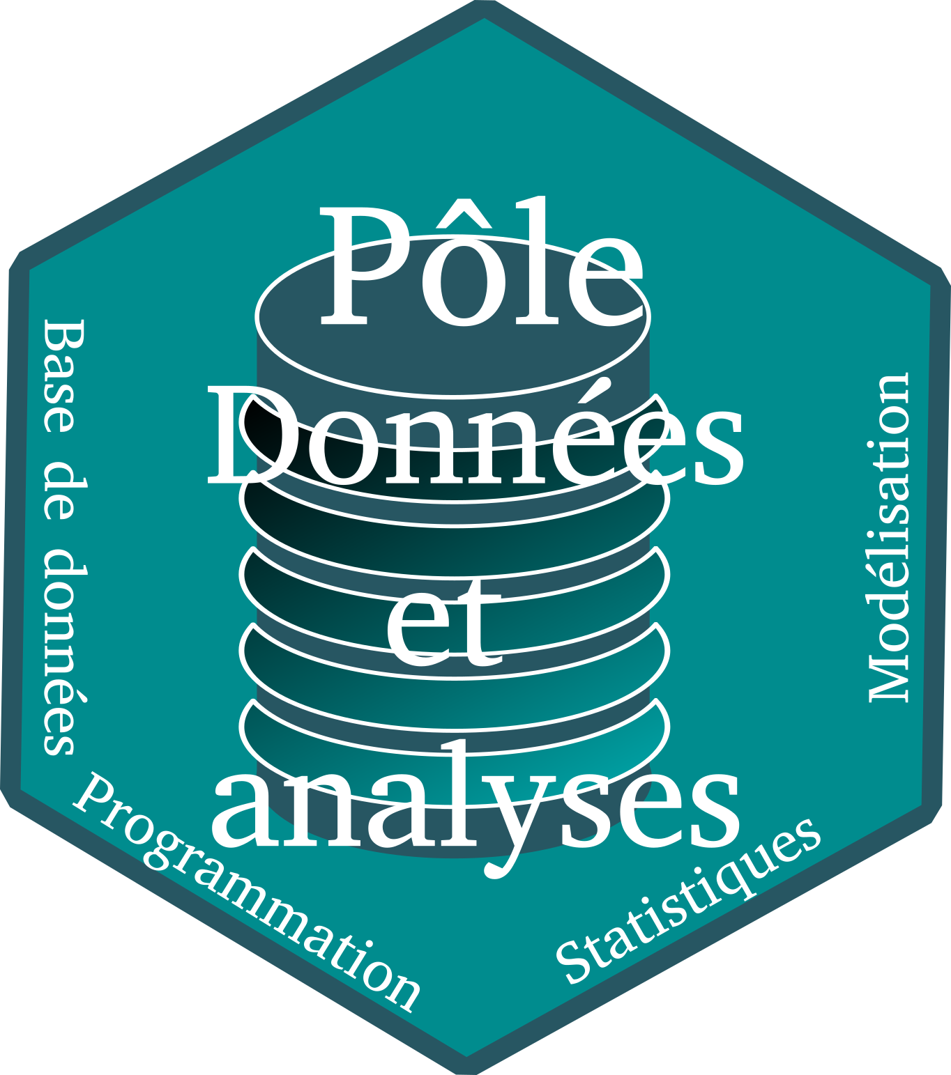 Pôle données et analyses